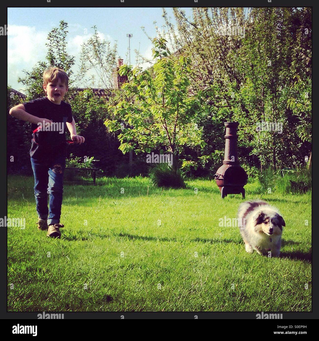 Puppy and boy hi-res stock photography and images - Alamy