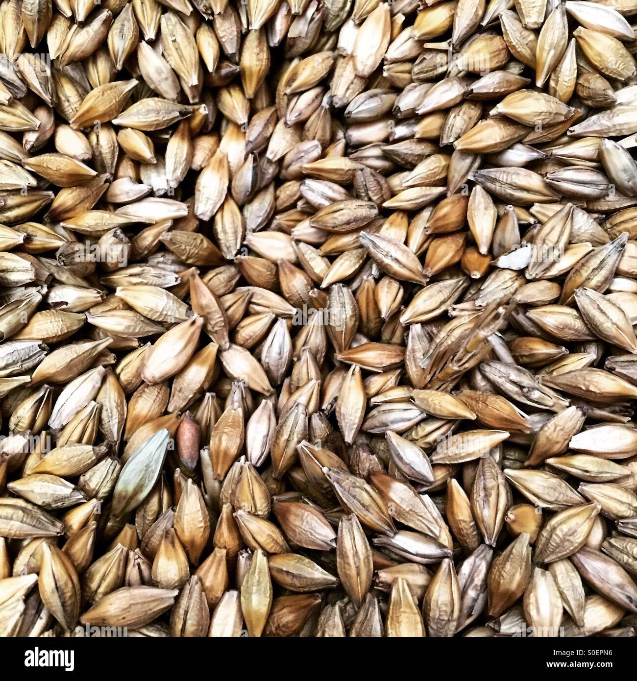 Medieval mill grain hi-res stock photography and images - Alamy