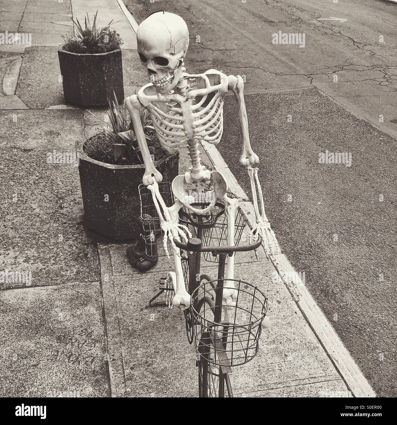 Deadheads grateful dead hi-res stock photography and images - Alamy