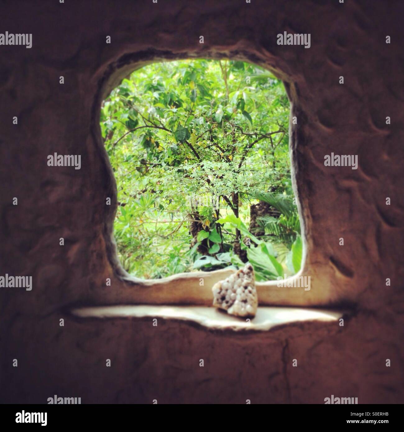 Green plants outside the window, Thailand Stock Photo - Alamy