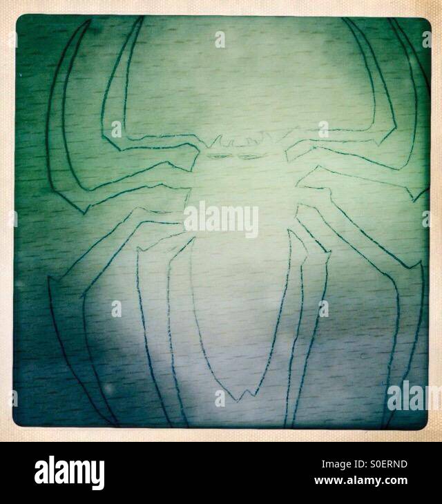 School doodle Spider Stock Photo - Alamy