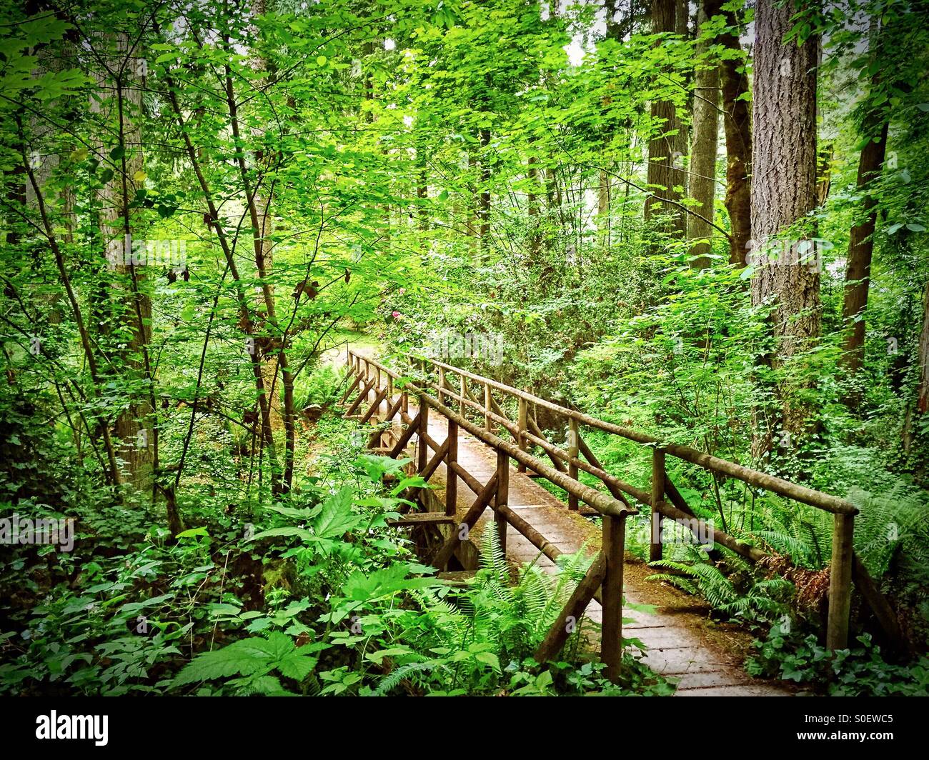 A footbridge leads into the wooded trails for hiking and exploration Stock Photo - Alamy