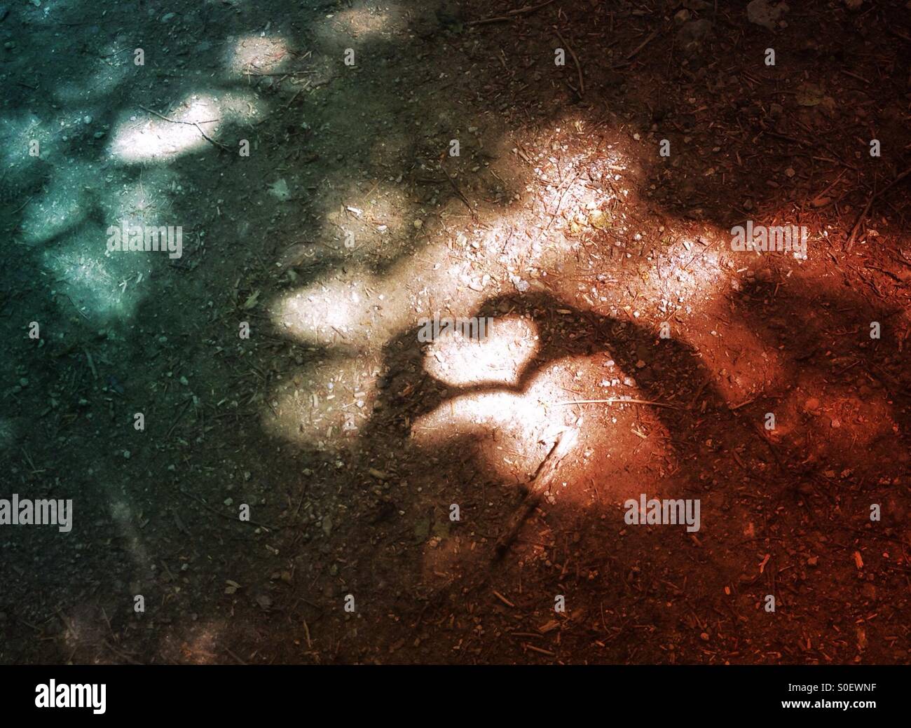 Heart shape shadow made by hands Stock Photo - Alamy