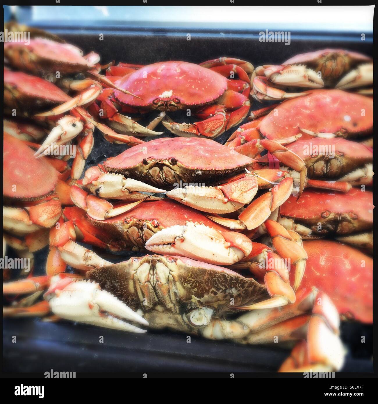 Seafood merchant hi-res stock photography and images - Alamy