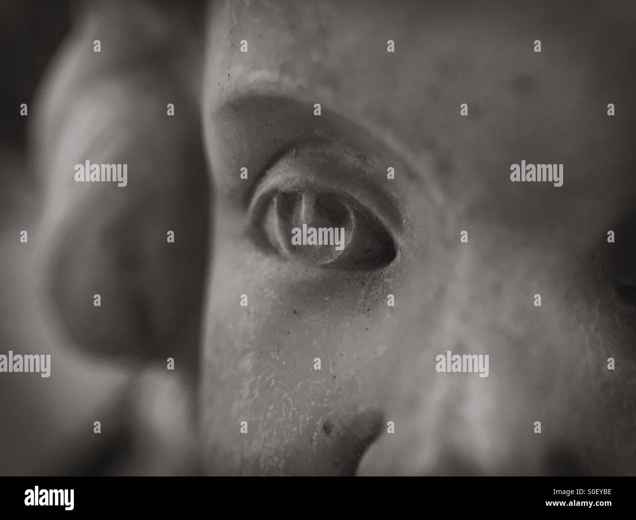 Ever watchful hi-res stock photography and images - Alamy