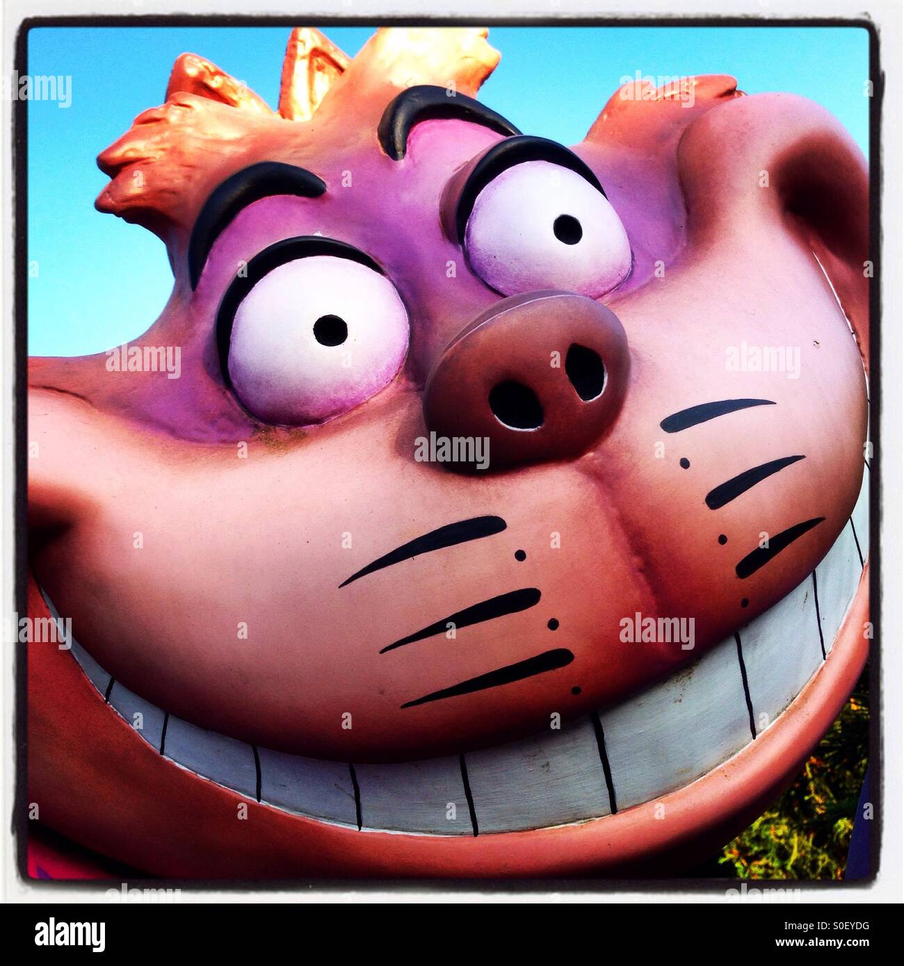 Cheshire cat hi-res stock photography and images - Alamy