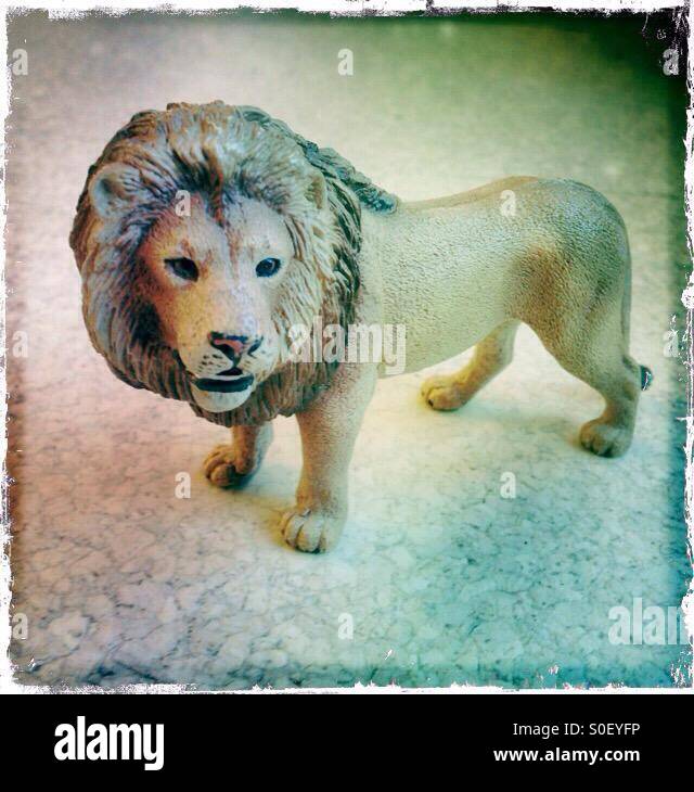Toy lion hi-res stock photography and images - Alamy