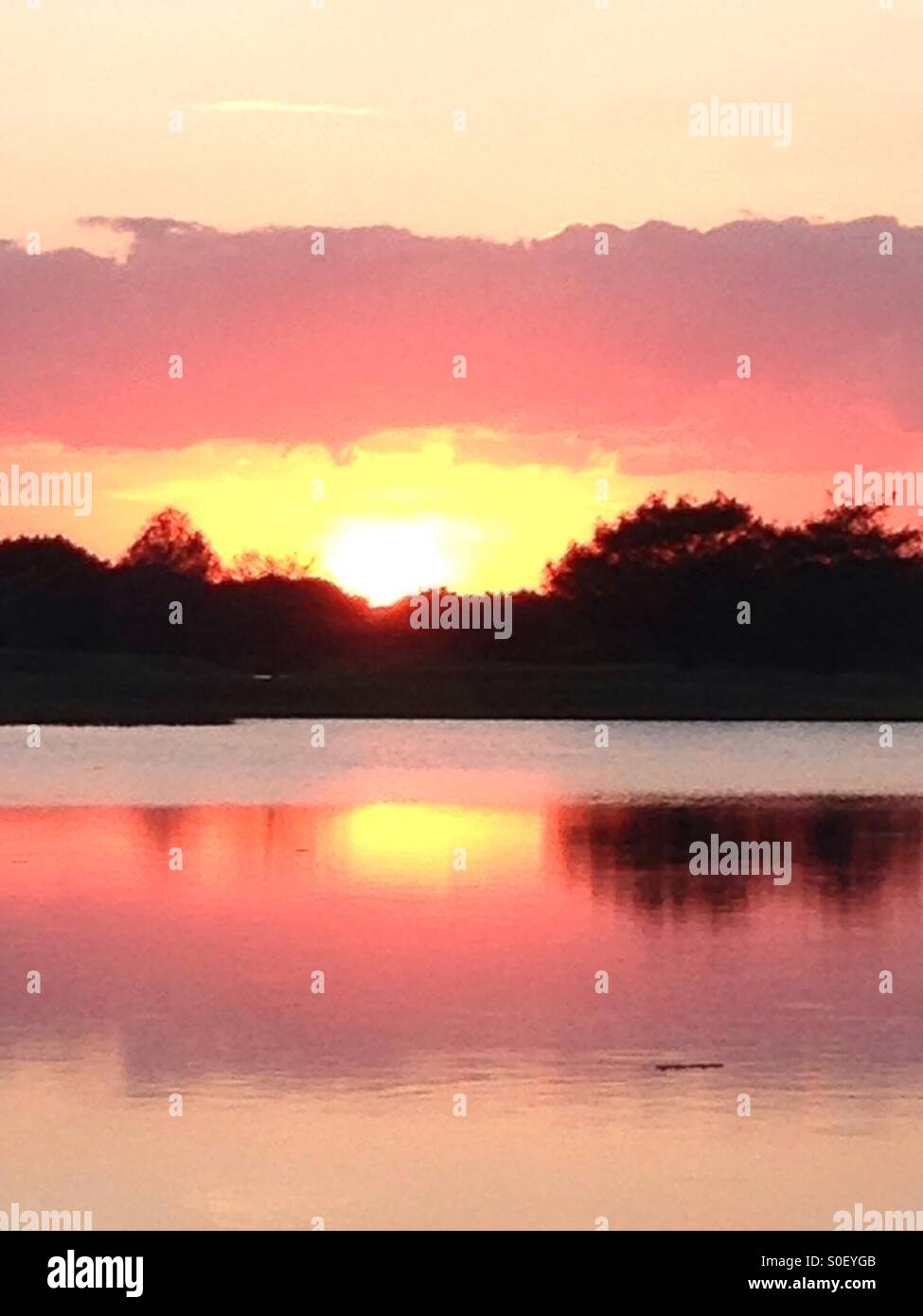 Sunset at the everglades hi-res stock photography and images - Alamy