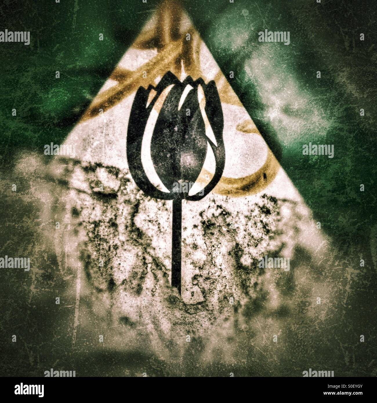 Tulip sign hi-res stock photography and images - Alamy