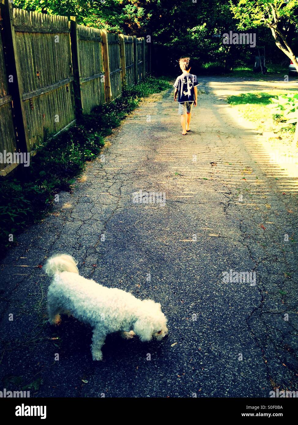 Boy and dog Stock Photo - Alamy