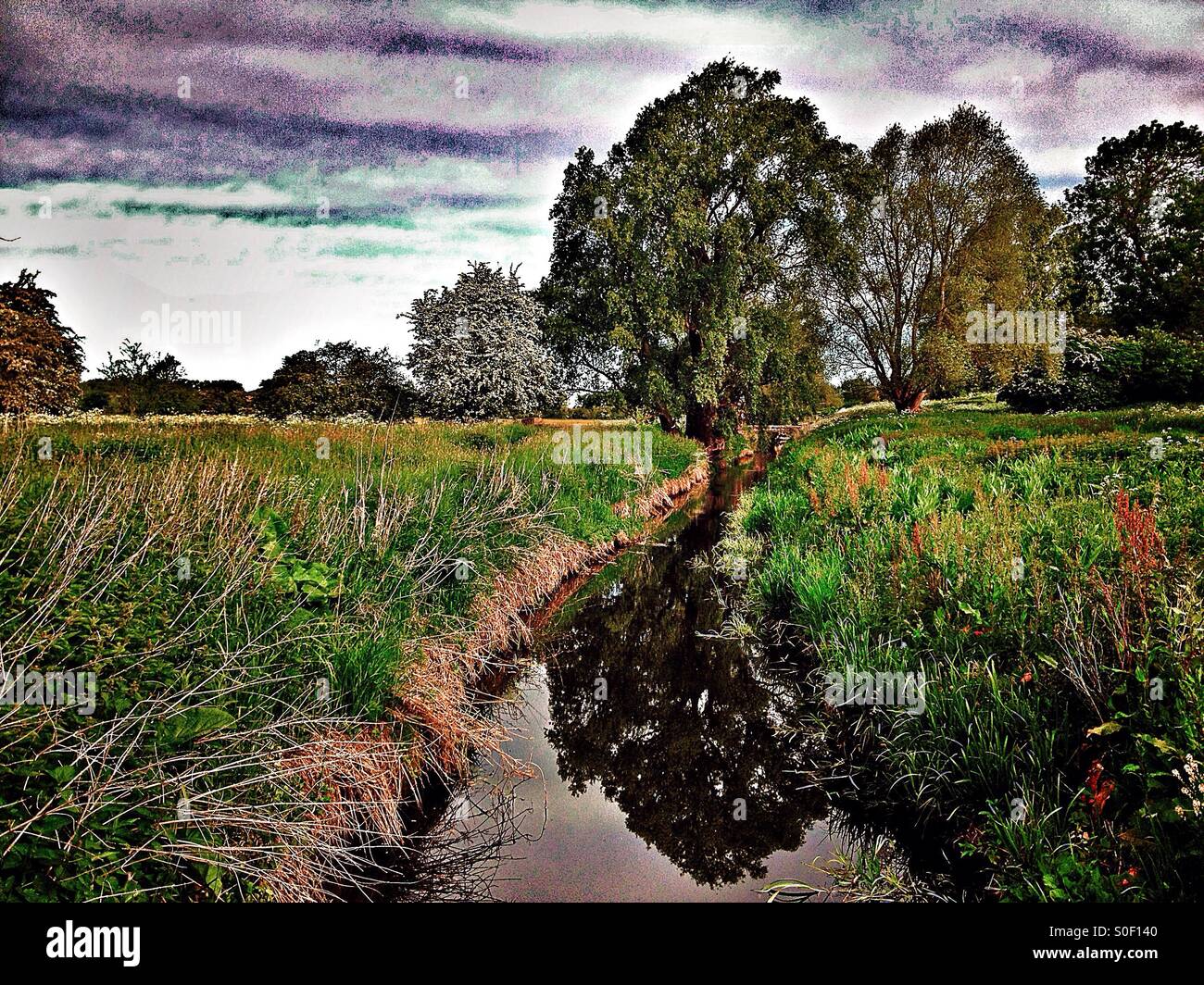 Stream in field hi-res stock photography and images - Alamy