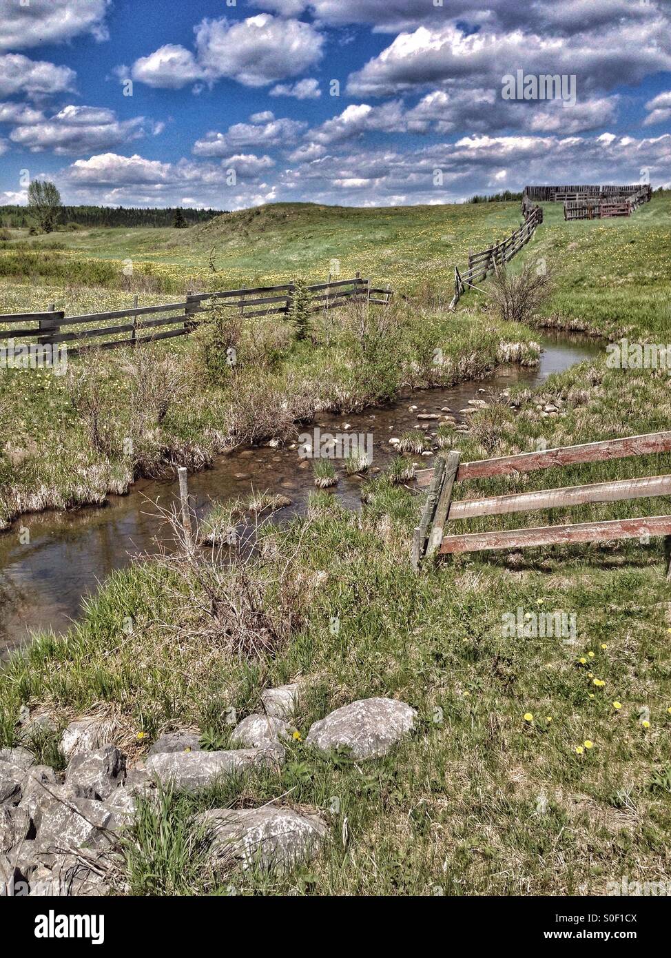 Winding stream hi-res stock photography and images - Alamy