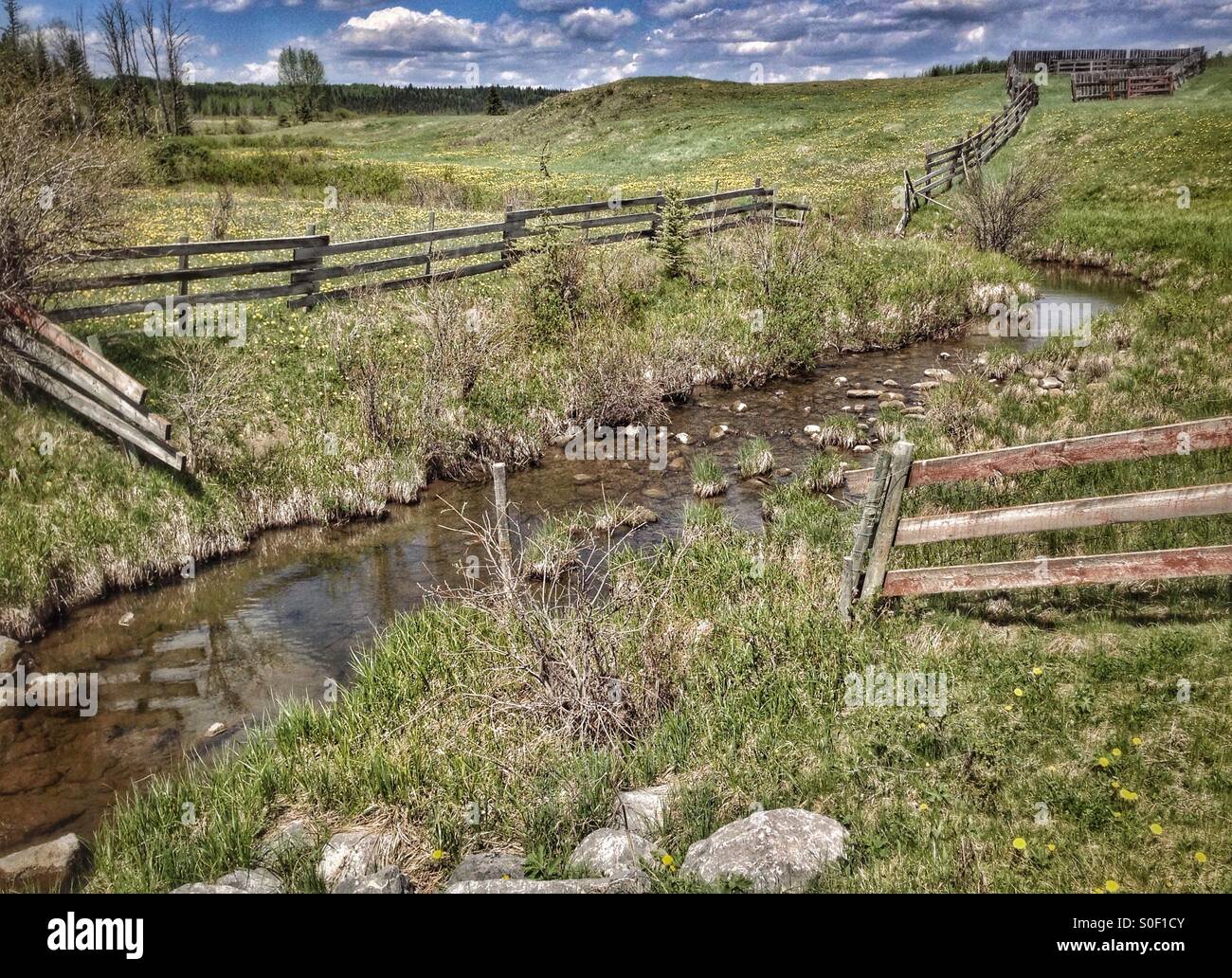 Countryside landscape scene with winding stream and zig-zagging fence ...