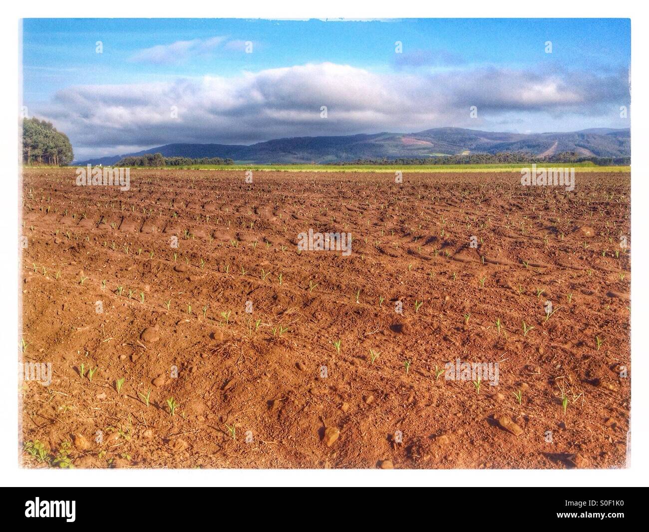 Rural field hi-res stock photography and images - Alamy