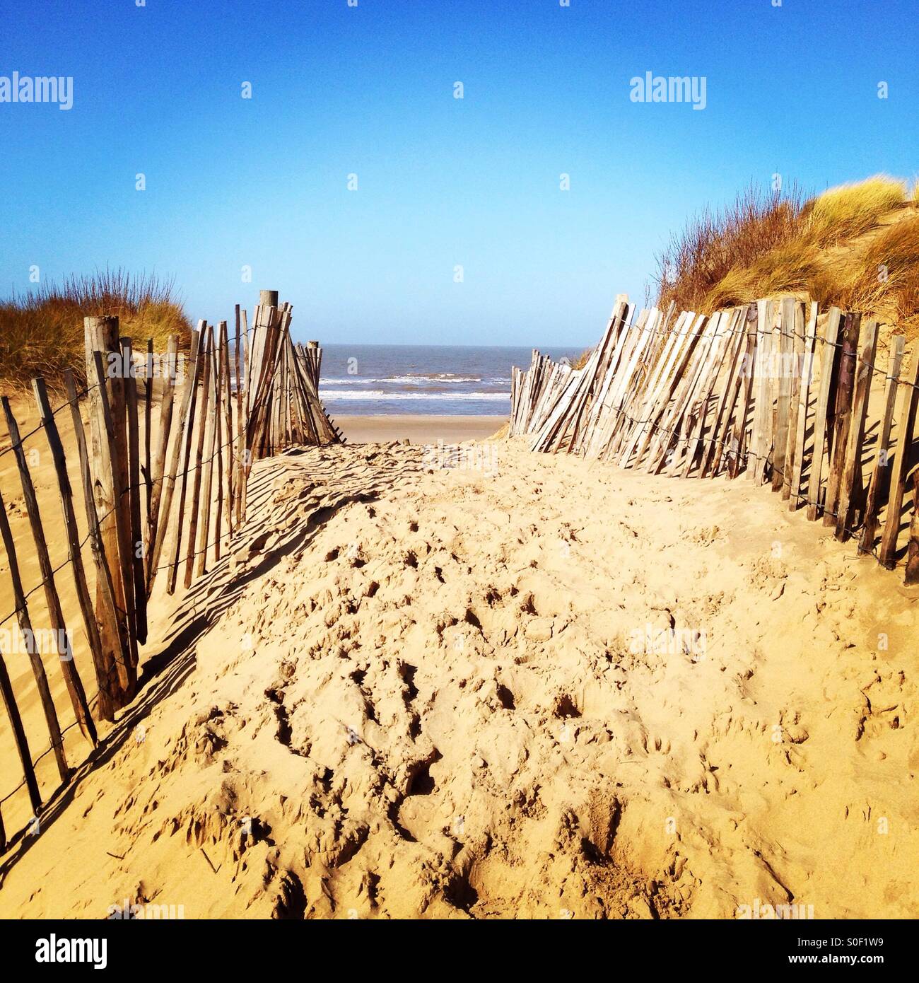 Path through sand dunes Stock Photo - Alamy