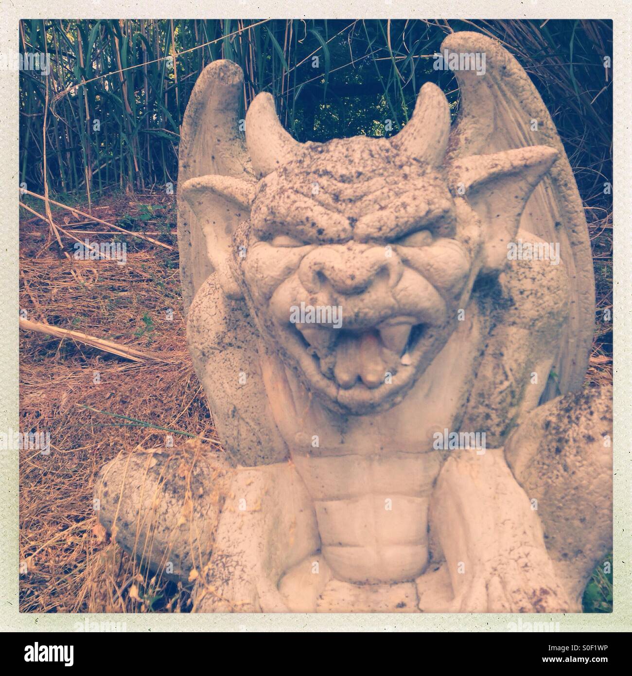 Snapshot hi-res stock photography and images - Alamy