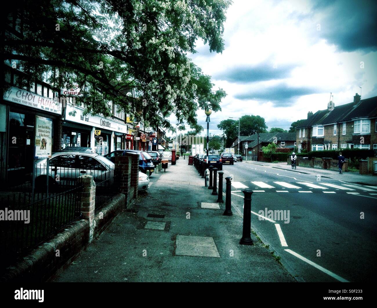 Zebra reading hi-res stock photography and images - Alamy