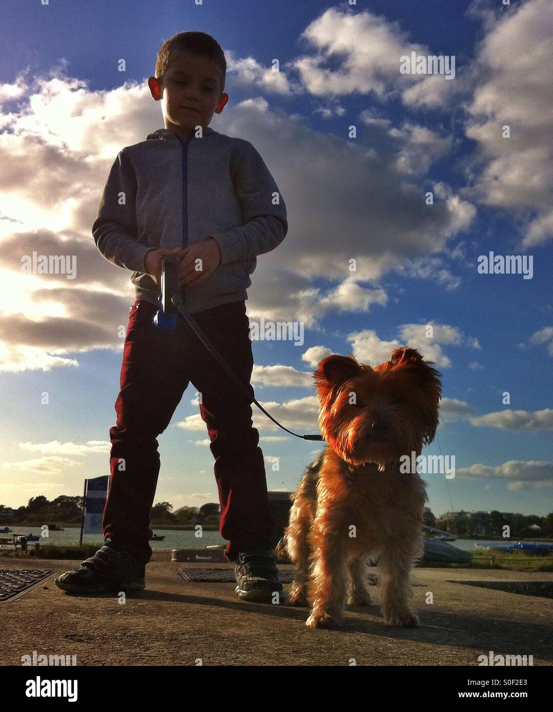 Boy with dog hi-res stock photography and images - Alamy