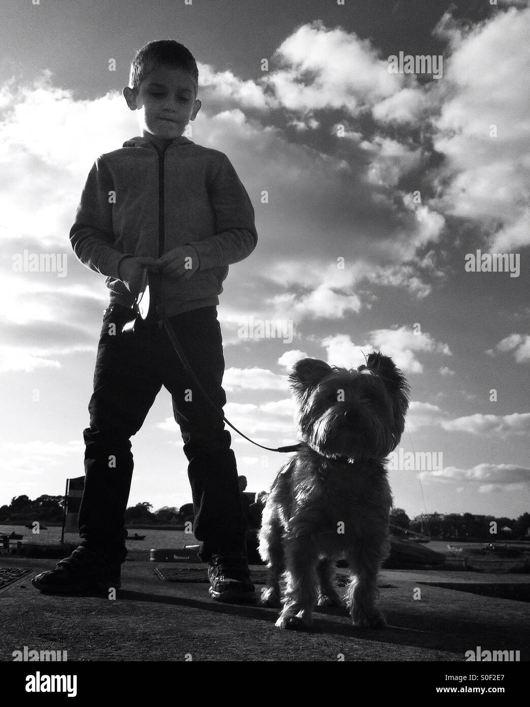 Boy walking his dog hi-res stock photography and images - Alamy