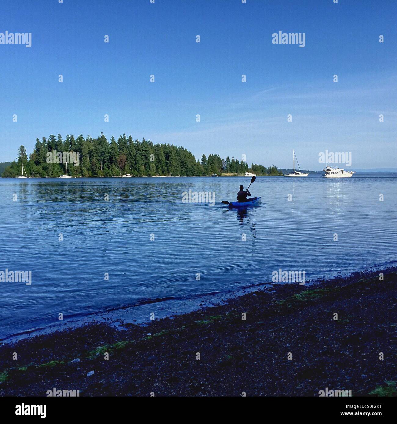 A man paddles a kayak in a peaceful cove in the Pacific Northwest with ...