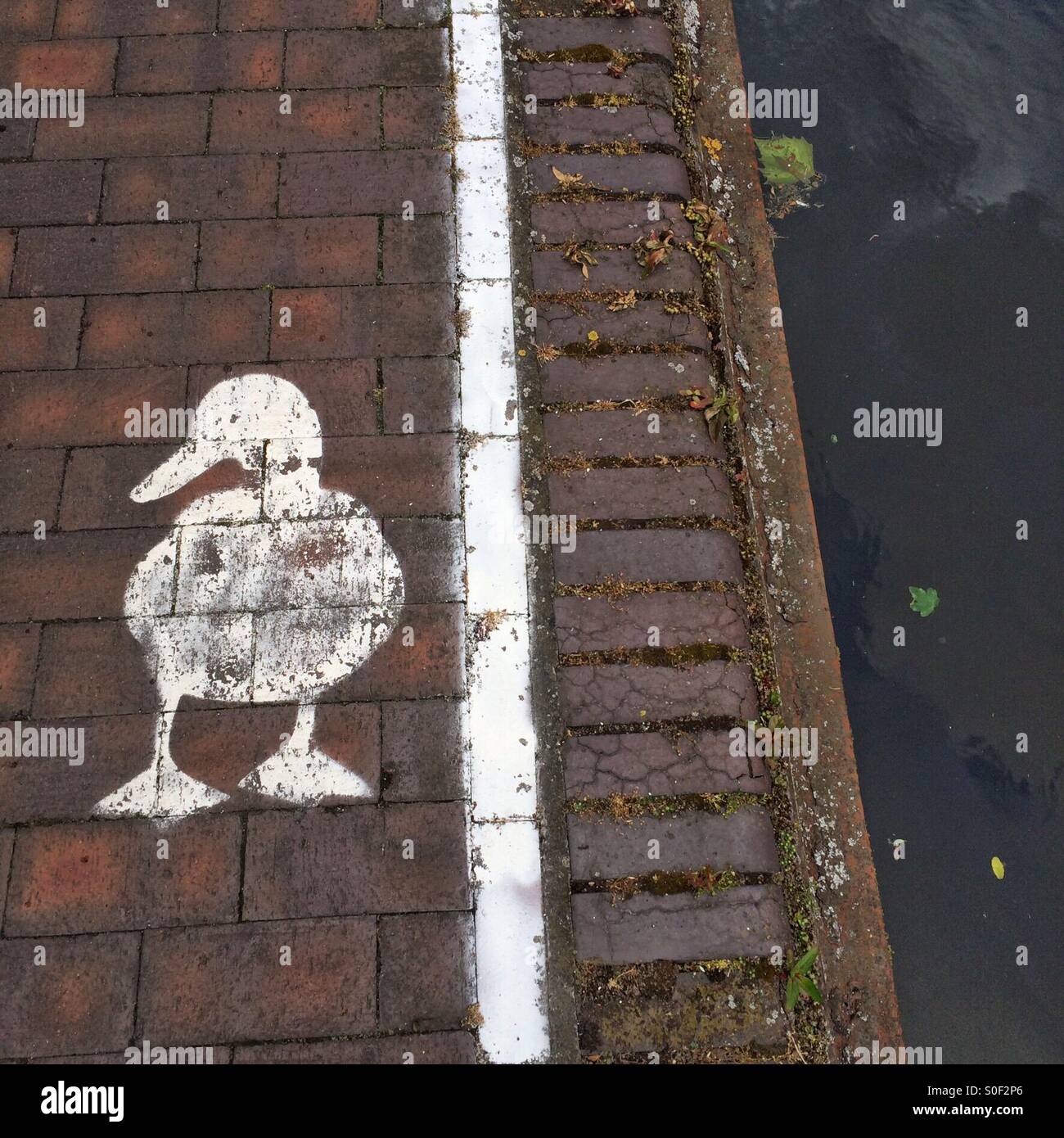 Duck lane hi-res stock photography and images - Alamy