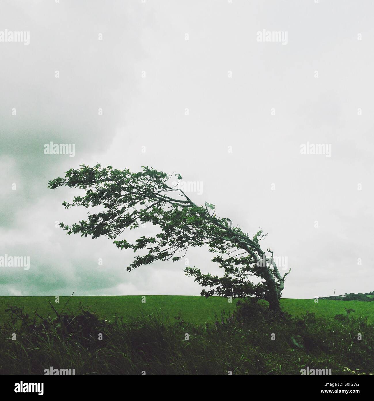 Cornwall storm hi-res stock photography and images - Alamy