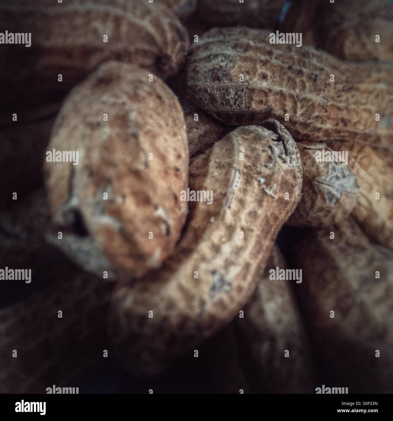 Nuts in shell hi-res stock photography and images - Alamy