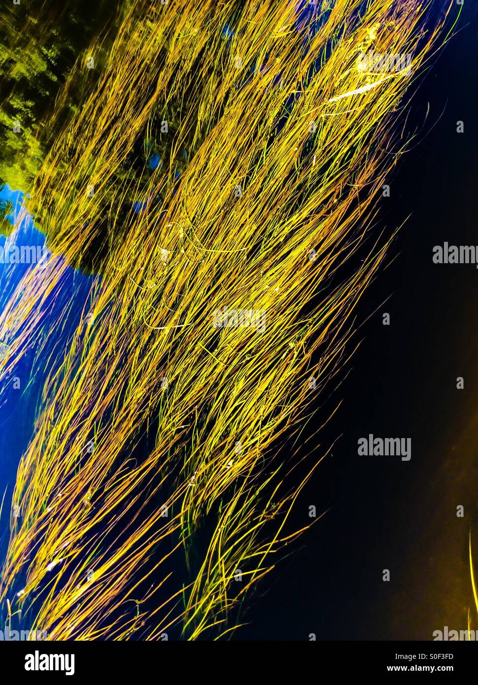 Floating grass hi-res stock photography and images - Alamy