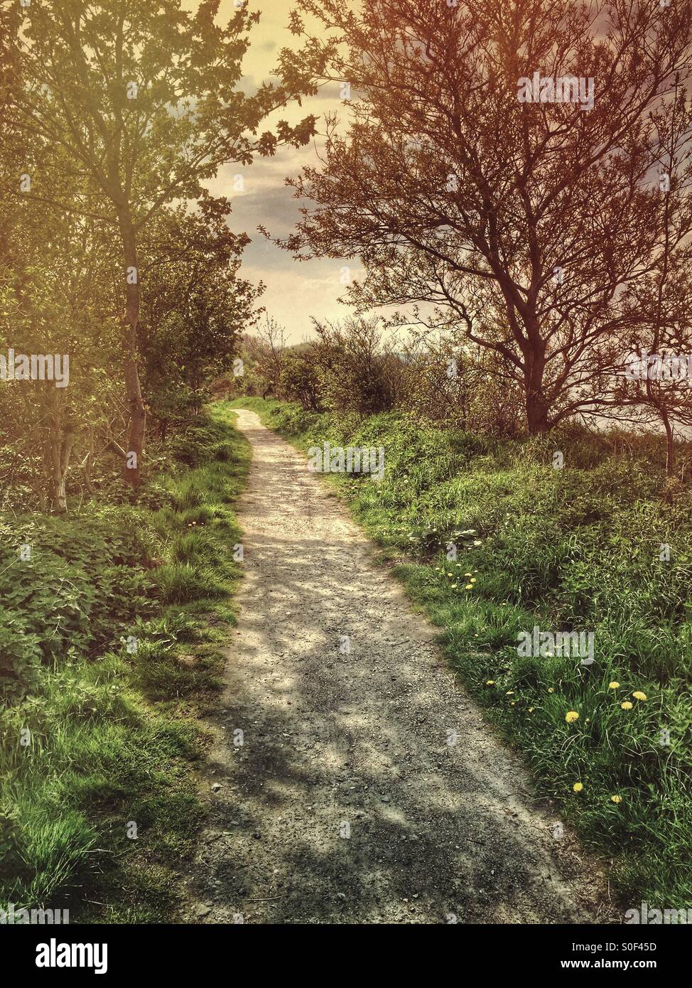 Path in the countryside Germany Stock Photo - Alamy