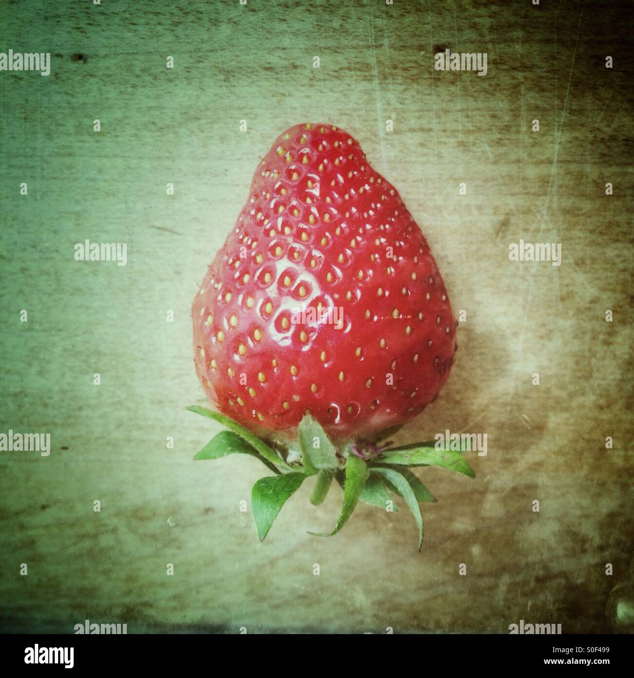 Single strawberry hi-res stock photography and images - Alamy