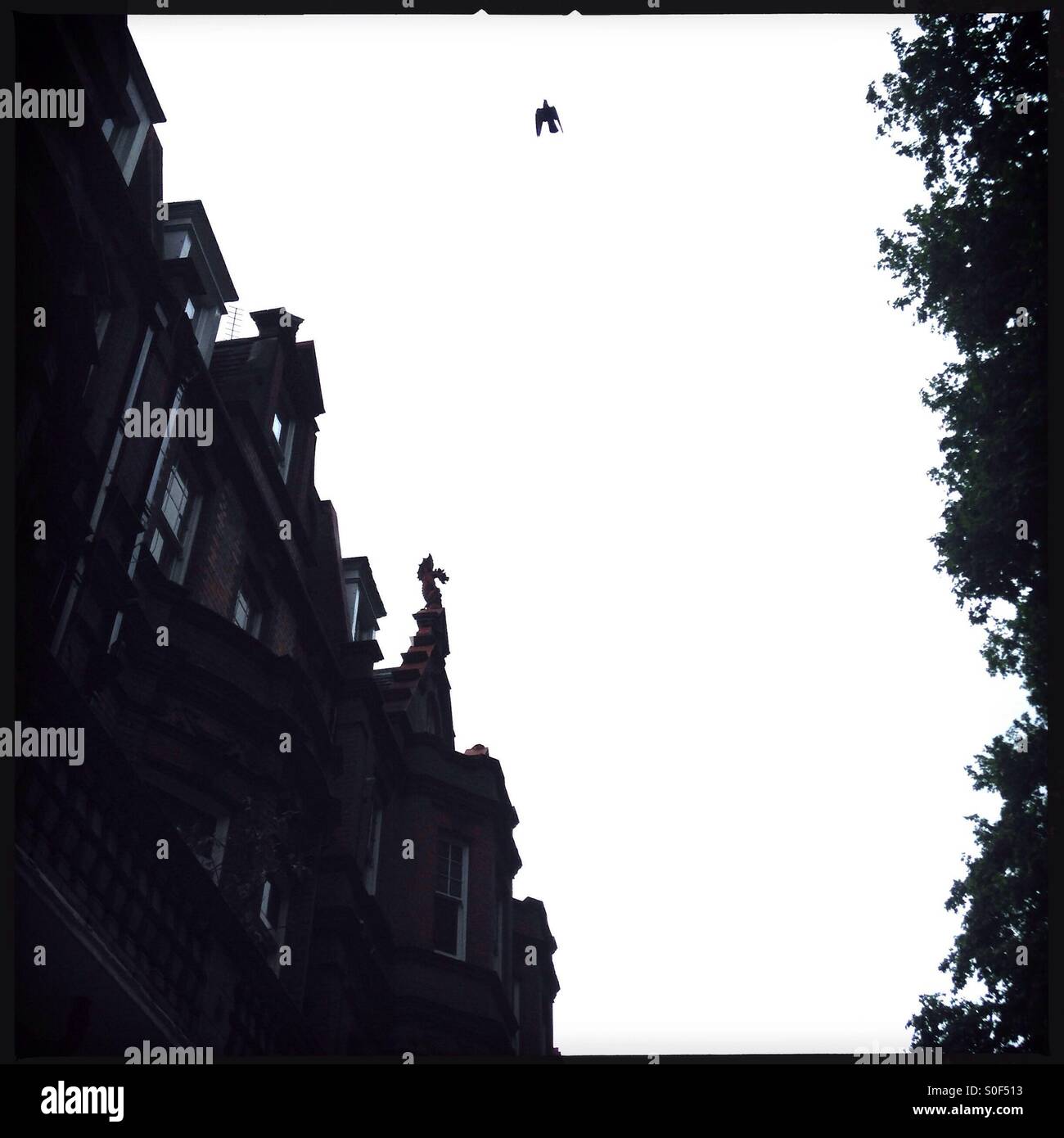 Dragon on building hi-res stock photography and images - Alamy