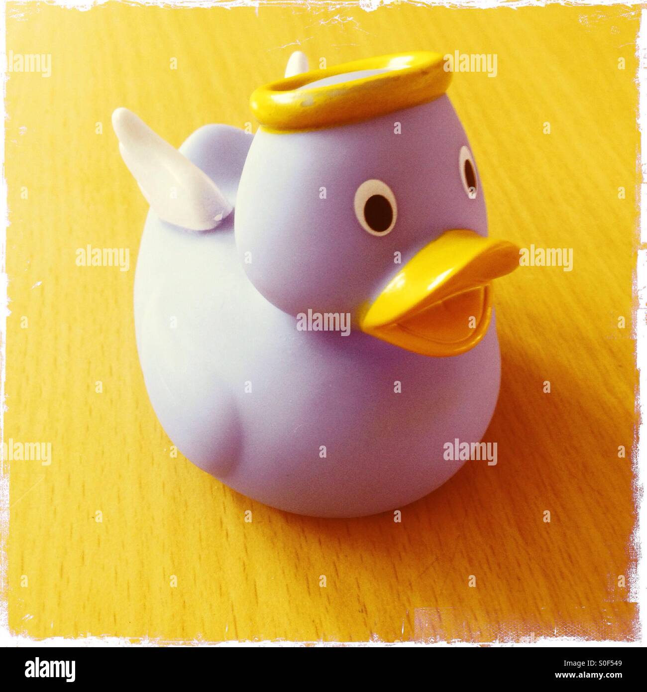 Pink rubber duck hi-res stock photography and images - Alamy