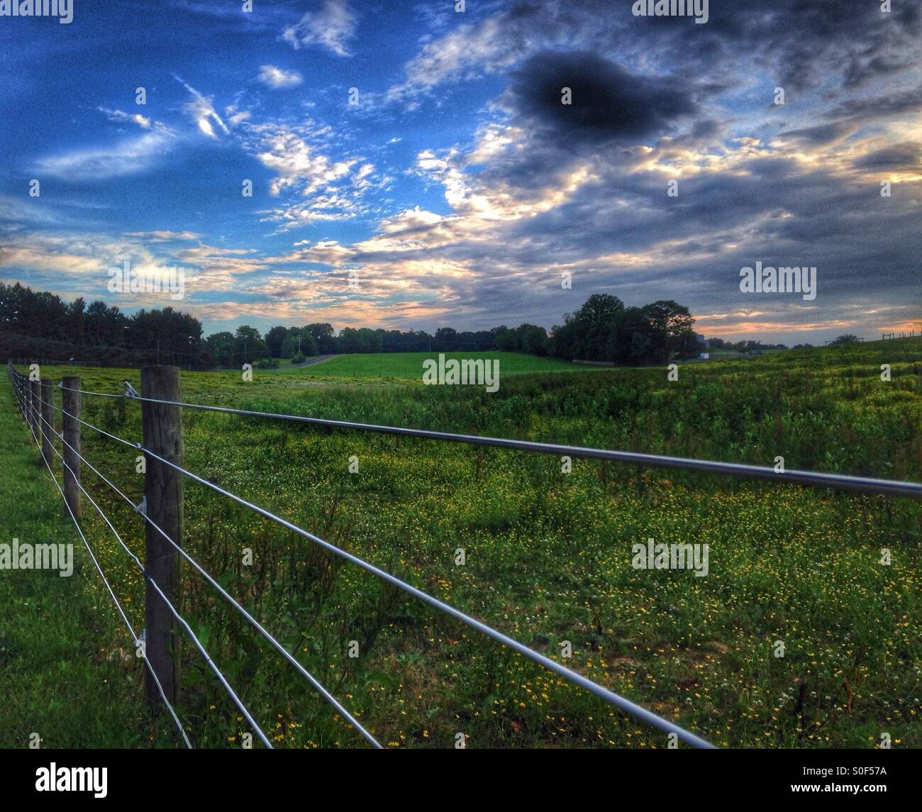 Pasture fence line at dusk Stock Photo - Alamy