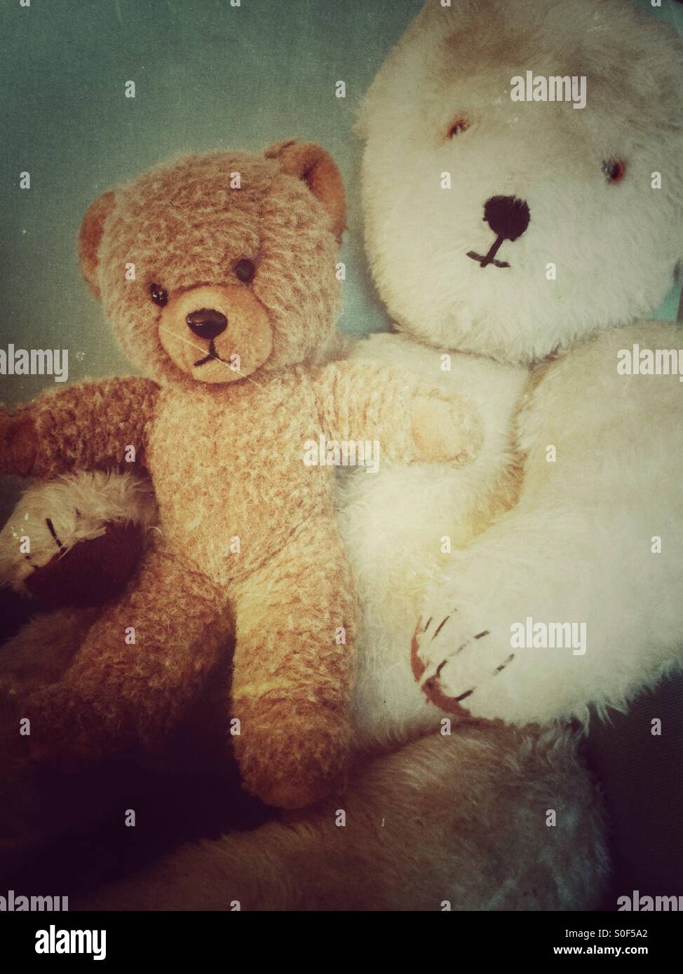 Two Teddy Bears Stock Photo - Alamy