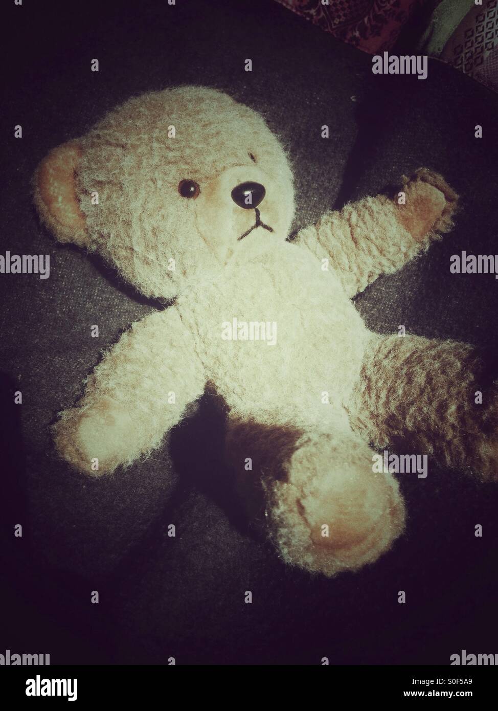 Classic teddy hi-res stock photography and images - Alamy