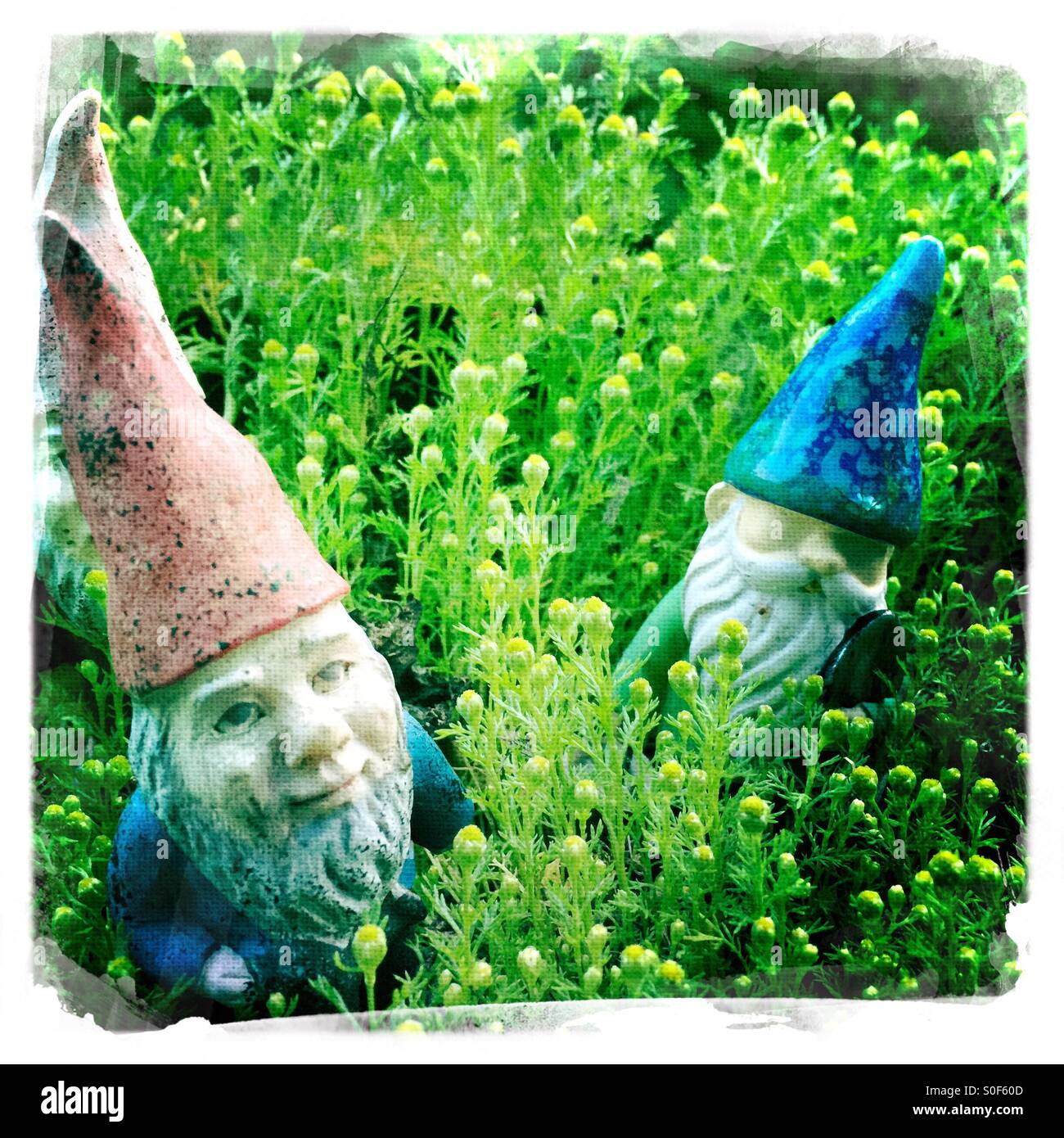 Two garden gnomes hi-res stock photography and images - Alamy