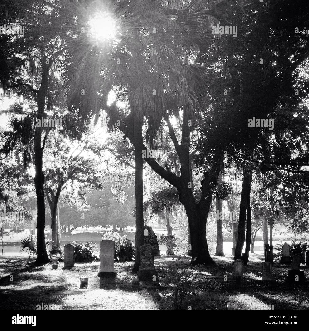 Florida cemetery hi-res stock photography and images - Alamy