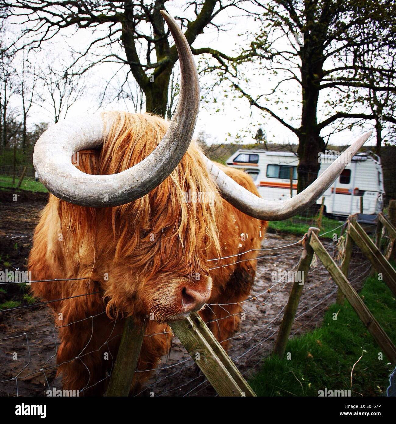 Hamish hi-res stock photography and images - Alamy