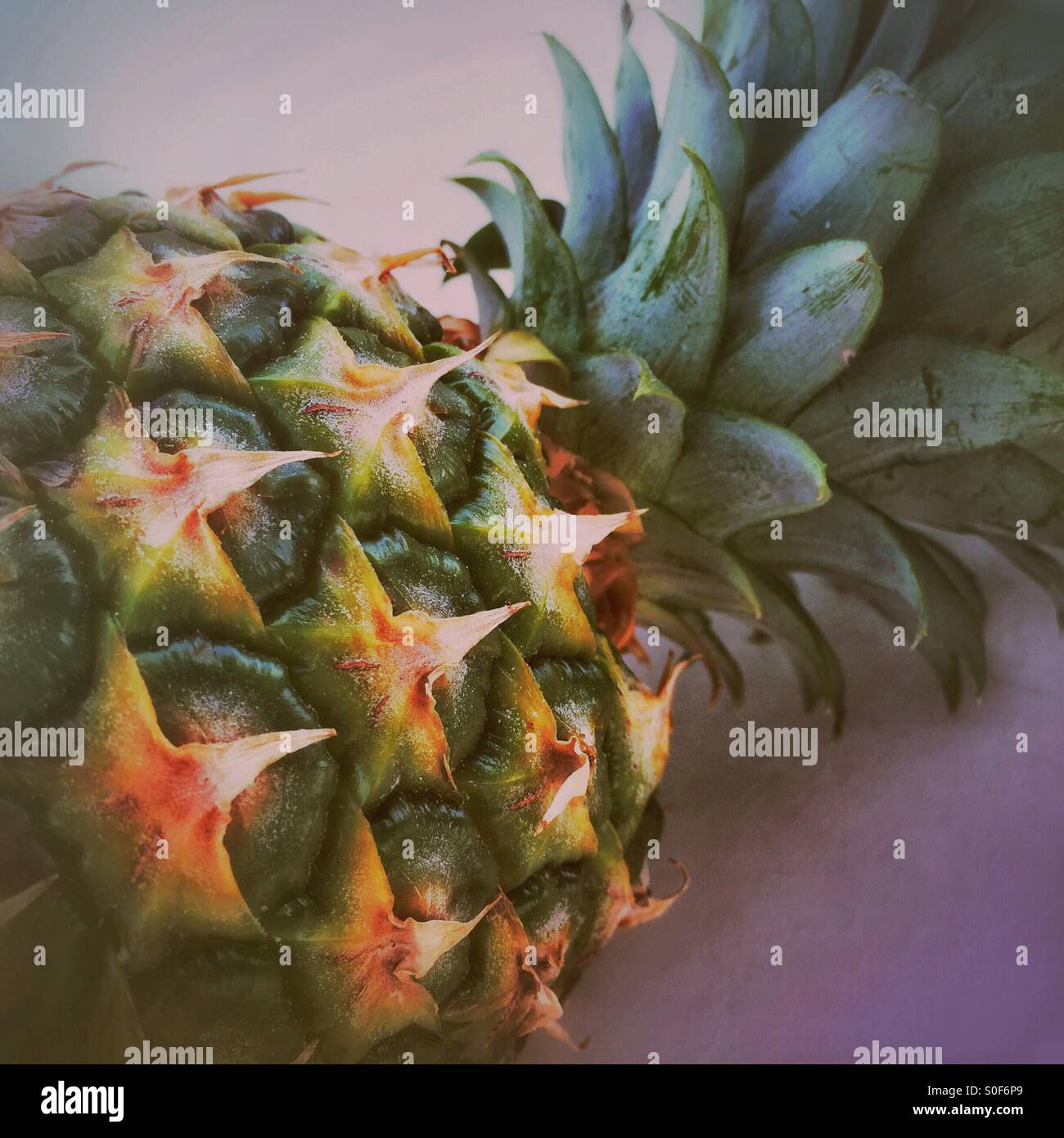 A portion of the outside of a whole fresh pineapple including part of ...