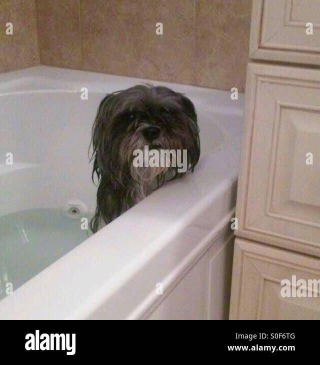 Need a bath hi-res stock photography and images - Alamy