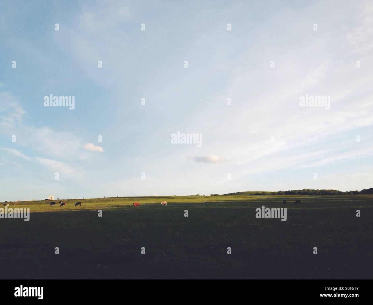 Across the fields Stock Photo - Alamy