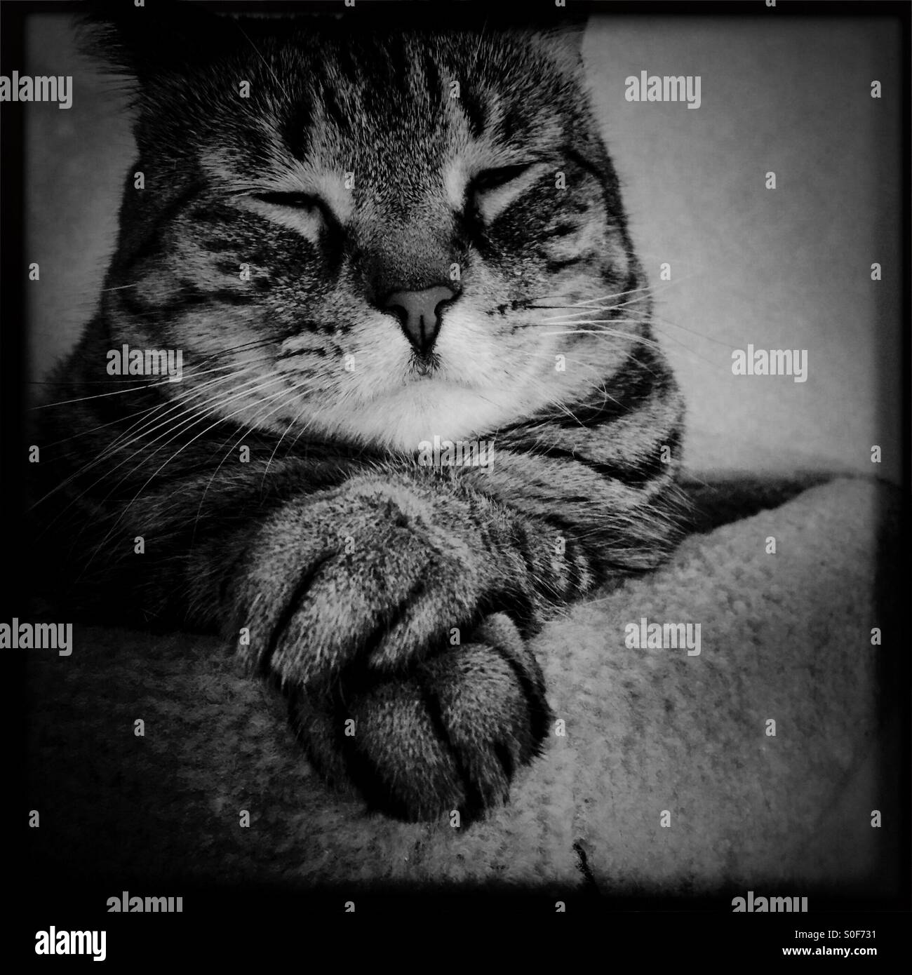 Getting sleepy hi-res stock photography and images - Alamy