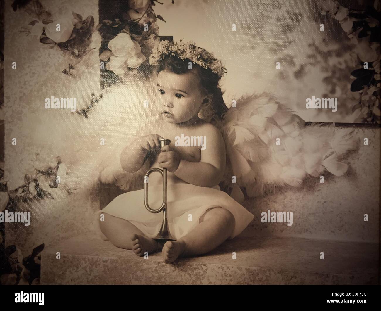 Baby angel hi-res stock photography and images - Alamy