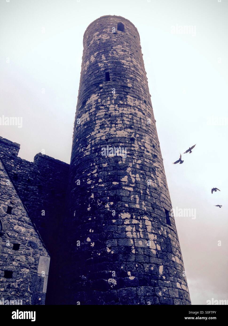 Rock of cashel castle ireland hi-res stock photography and images - Alamy