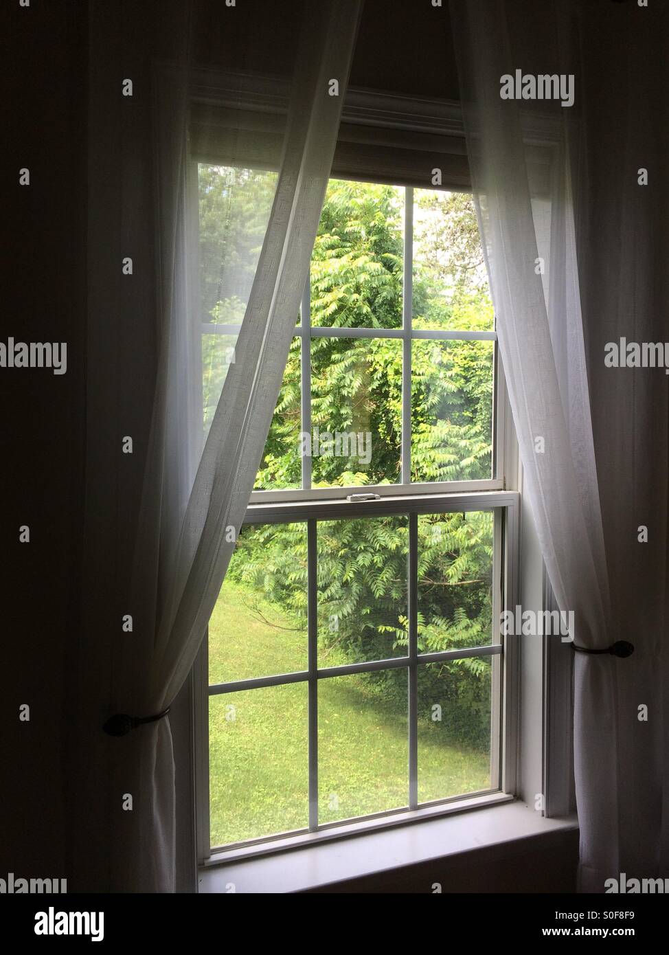 Window curtains hi-res stock photography and images - Alamy