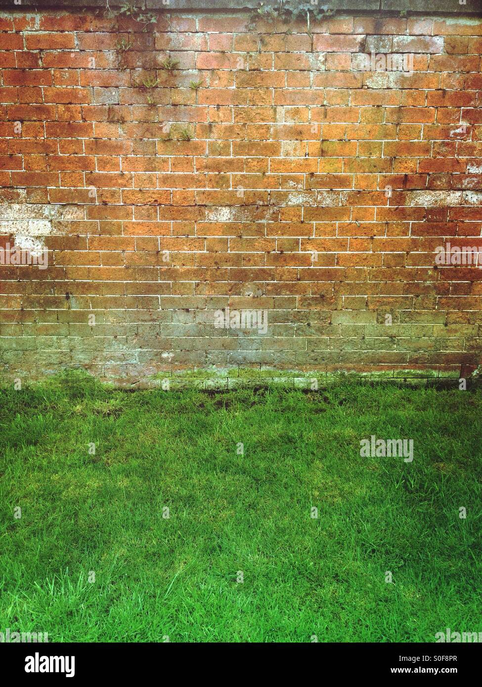 Brick walling hi-res stock photography and images - Alamy