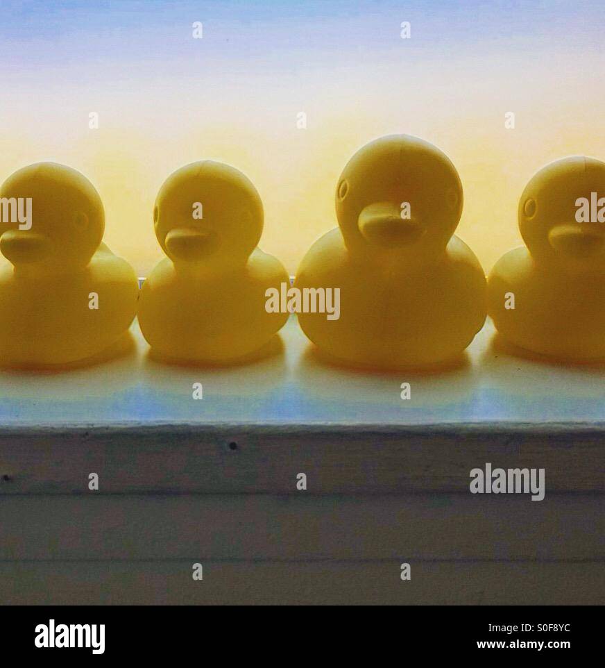 Plastic ducks hi-res stock photography and images - Alamy
