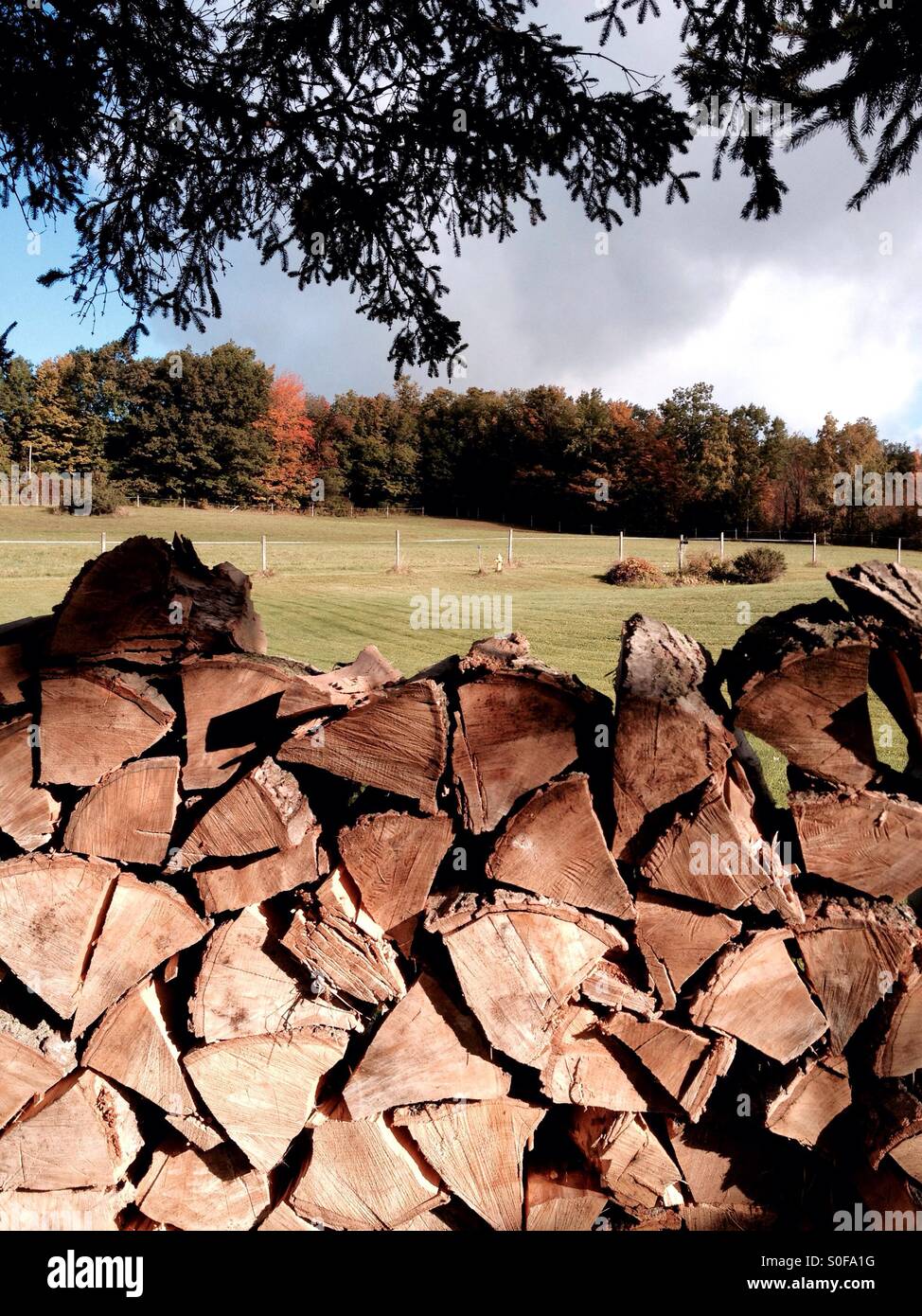 Pile of fire wood outside hi-res stock photography and images - Alamy