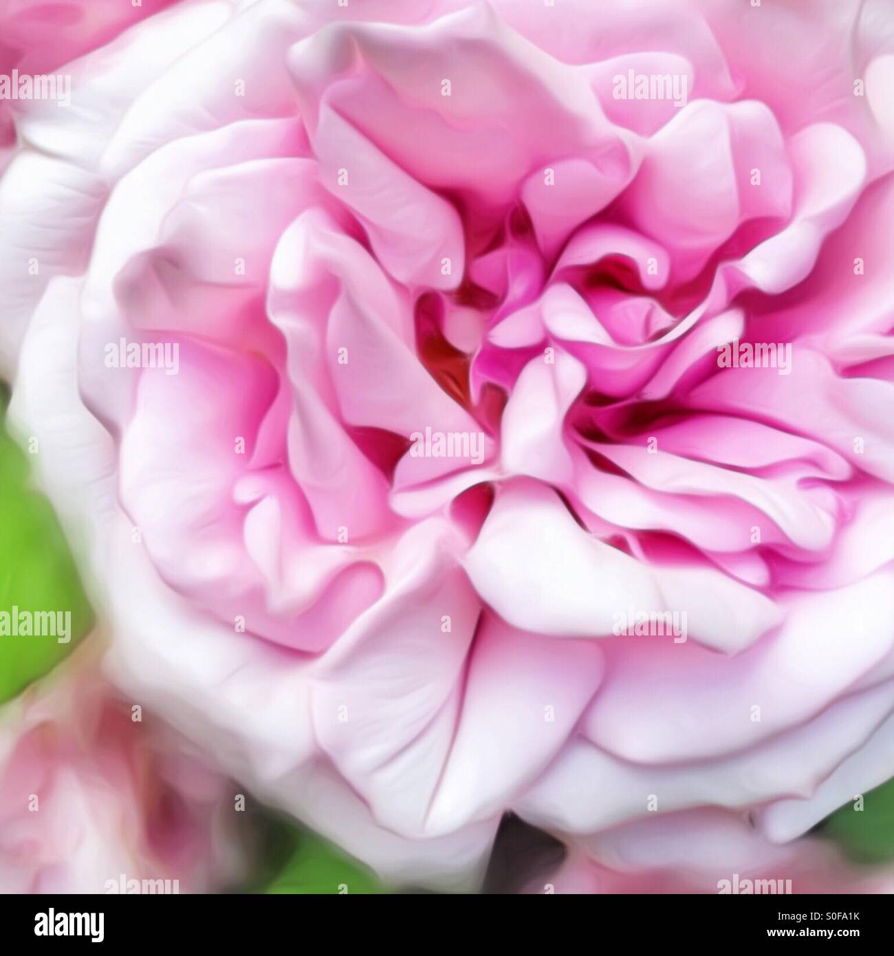 Pink filter hi-res stock photography and images - Alamy