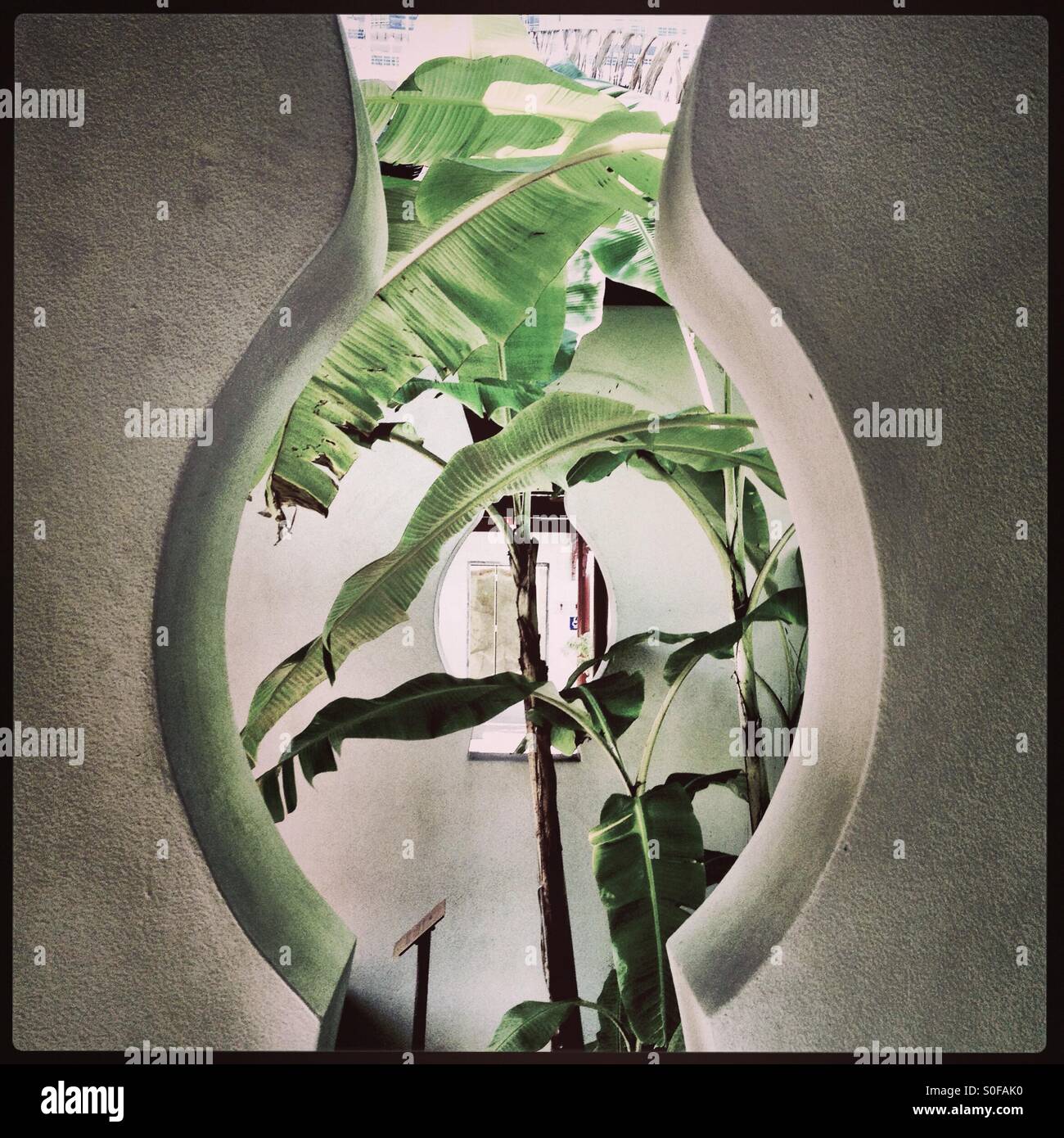 Keyhole garden hi-res stock photography and images - Alamy